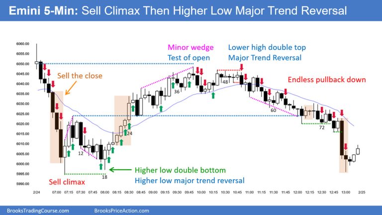 Emini Follow-Through Selling on Daily Chart | Brooks Trading Course